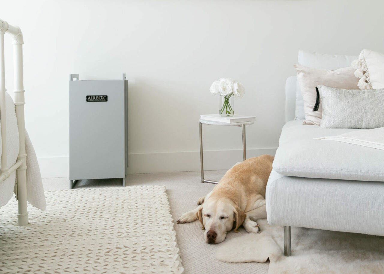 How Can You Improve Your Indoor Air Quality? - AIRBOX America